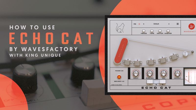 How To Use Wavesfactory Ech Cat with King Unique | How To Use Wavesfactory Echo Cat